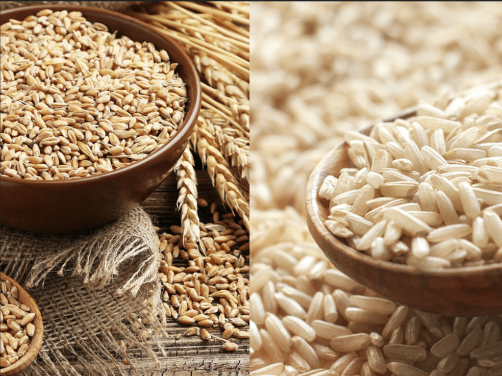 Wheat & Rice – What You REALLY NEED to Know if You Want to Be Healthy ...